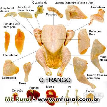 Exportação de Pé, Pata E Partes de Frango / Frango Halal / 225113