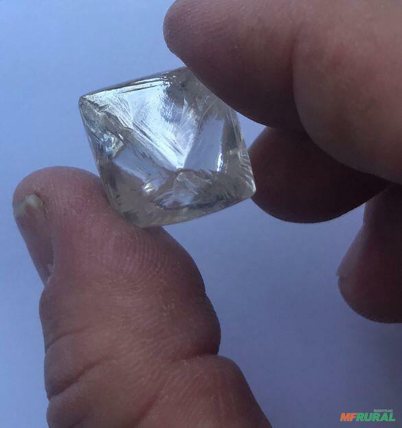 Diamante Bruto Ctg em Porto Velho RO à venda. Compre direto 614789