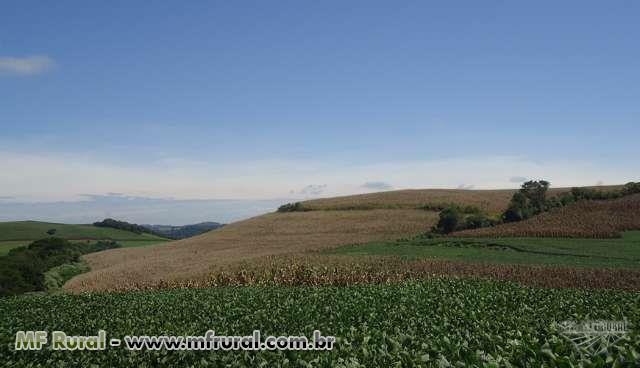 Área Rural A Venda em Sertão RS à venda. Compre direto 228756
