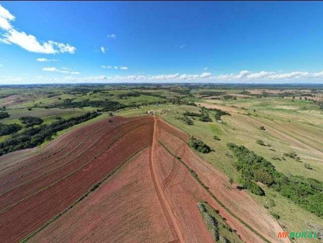 Fazenda 300 Hectares | Preço Venda Compra - MF Rural