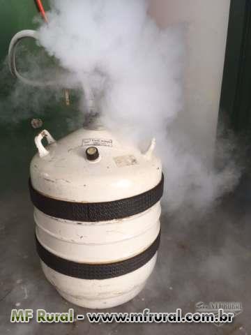 Nitrogenio Liquido | Preço Venda Compra - MF Rural