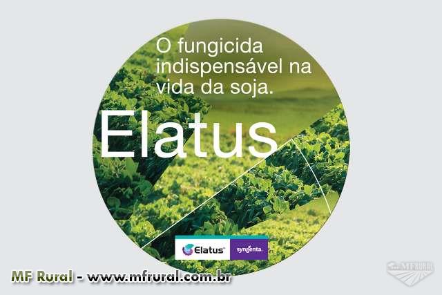 Elatus Fungicida Para Soja Promoçao Espetacular em Goiânia GO à 174221