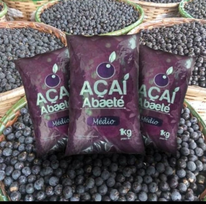Polpa 1Kg Acai | Preço Venda Compra - MF Rural