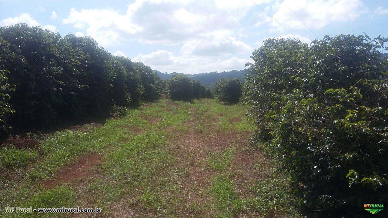Fazenda A Venda - 85 Hectares - Região Heliodora (Mg) em 313589