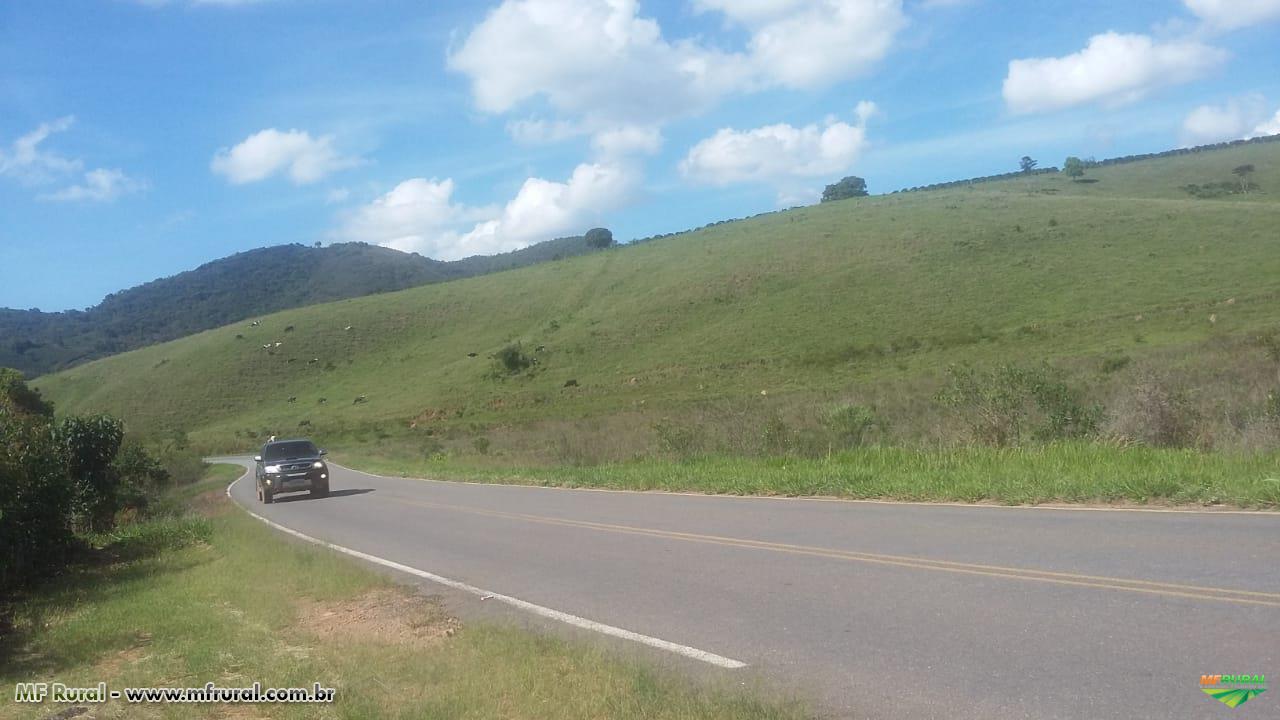 Fazenda A Venda - 85 Hectares - Região Heliodora (Mg) em 313589