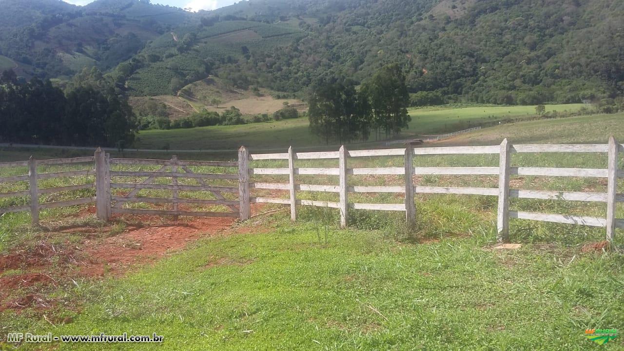 Fazenda A Venda - 85 Hectares - Região Heliodora (Mg) em 313589