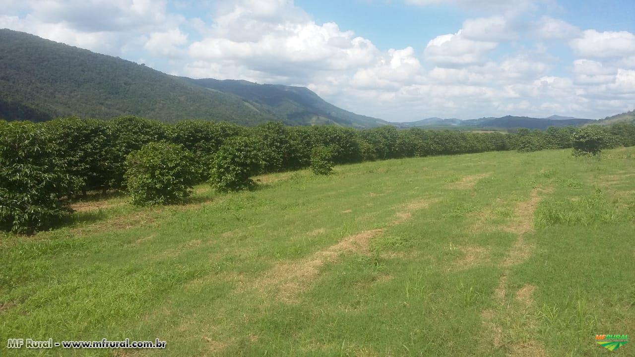 Fazenda A Venda - 85 Hectares - Região Heliodora (Mg) em 313589