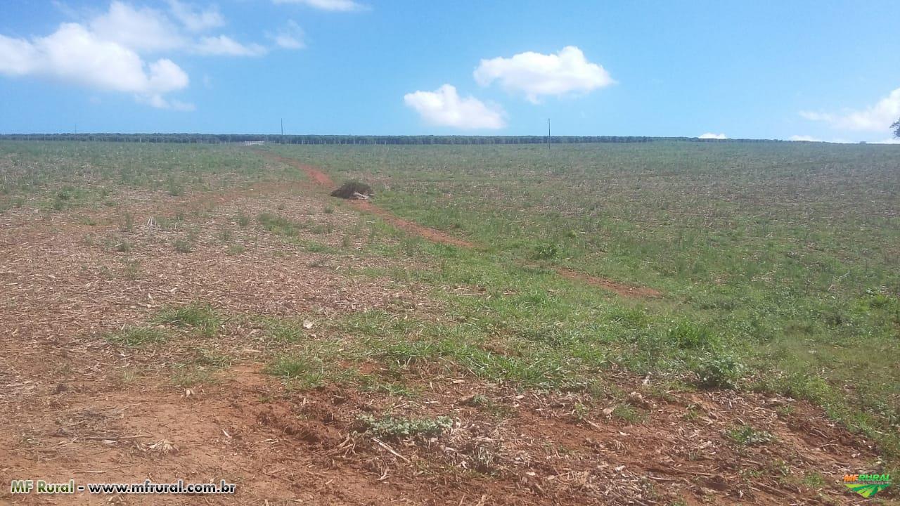 Fazenda A Venda - 85 Hectares - Região Heliodora (Mg) em 313589