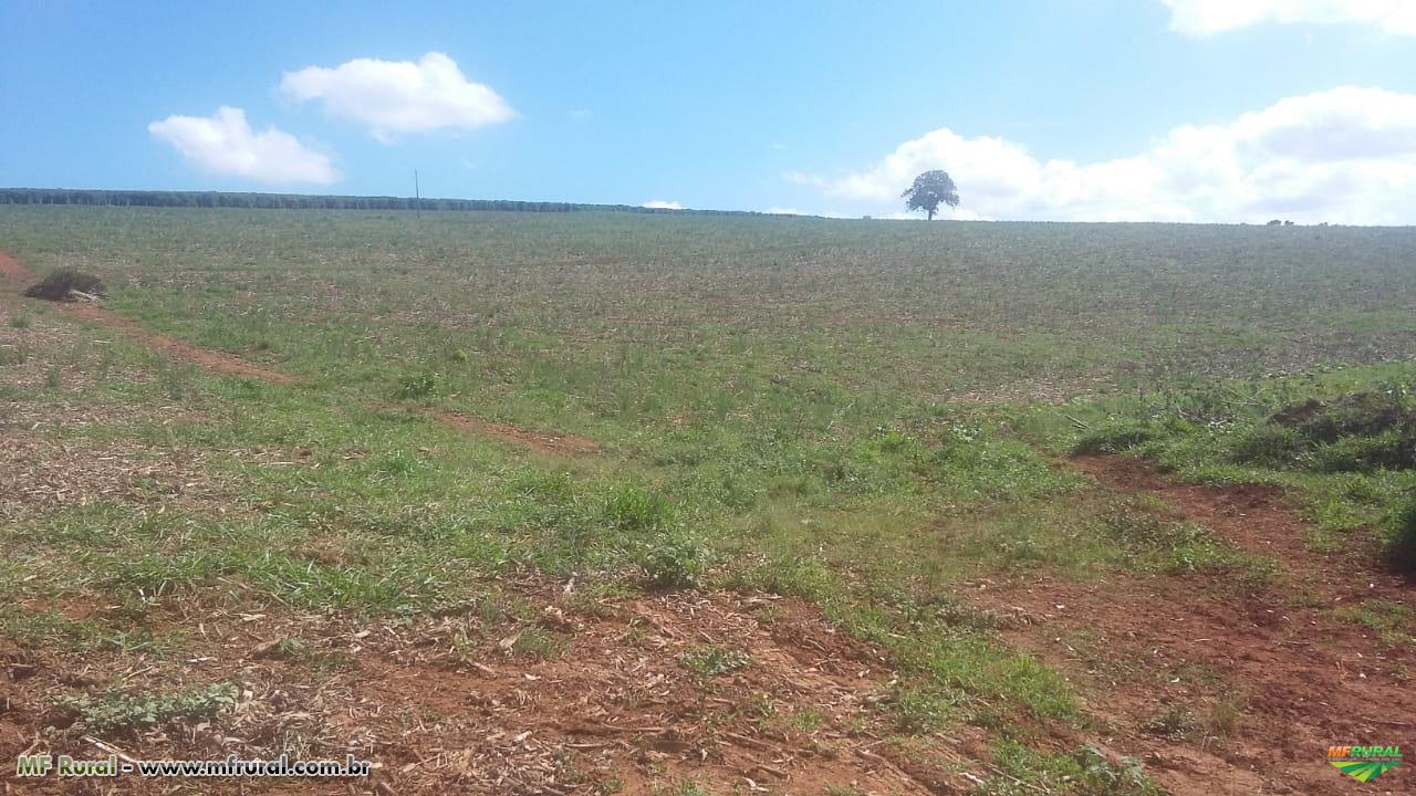 Fazenda A Venda - 85 Hectares - Região Heliodora (Mg) em 313589