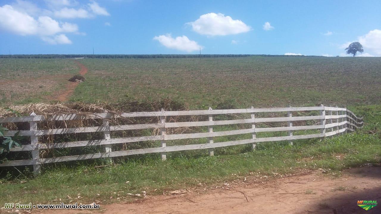 Fazenda A Venda - 85 Hectares - Região Heliodora (Mg) em 313589