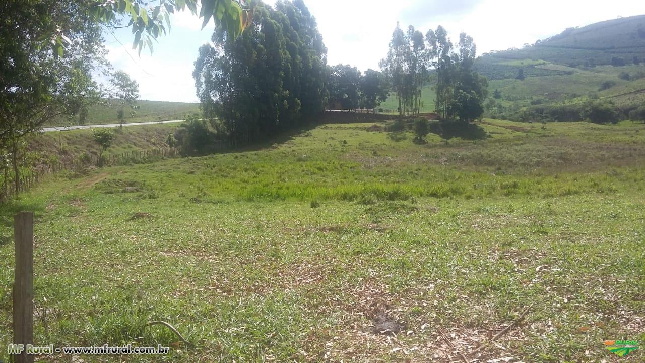 Fazenda A Venda - 85 Hectares - Região Heliodora (Mg) em 313589