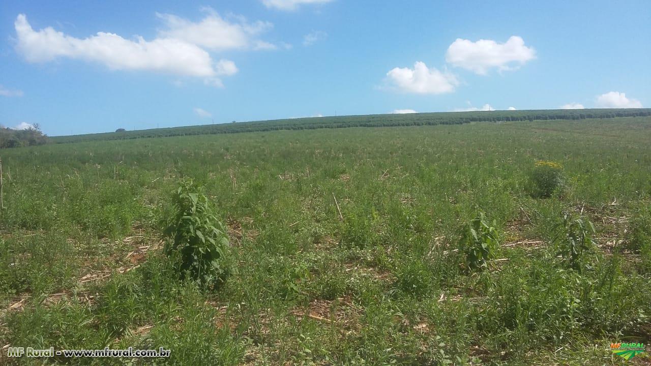 Fazenda A Venda - 85 Hectares - Região Heliodora (Mg) em 313589