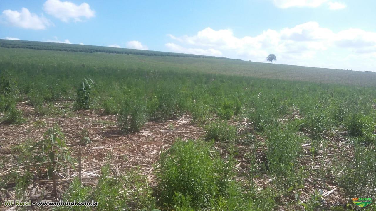 Fazenda A Venda - 85 Hectares - Região Heliodora (Mg) em 313589