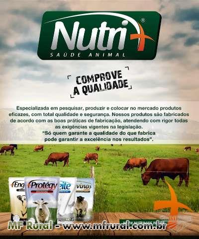 Franquia de Produtos Agropecuários em São José do Rio Preto SP à 246145