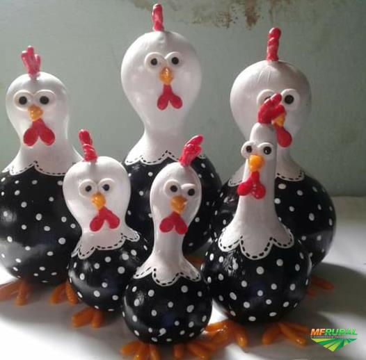 Cabaco | Preço Venda Compra - MF Rural