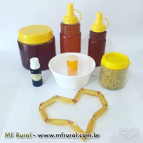 Materiais Para Apicultura em Rio de Janeiro RJ à venda. Compre 246719