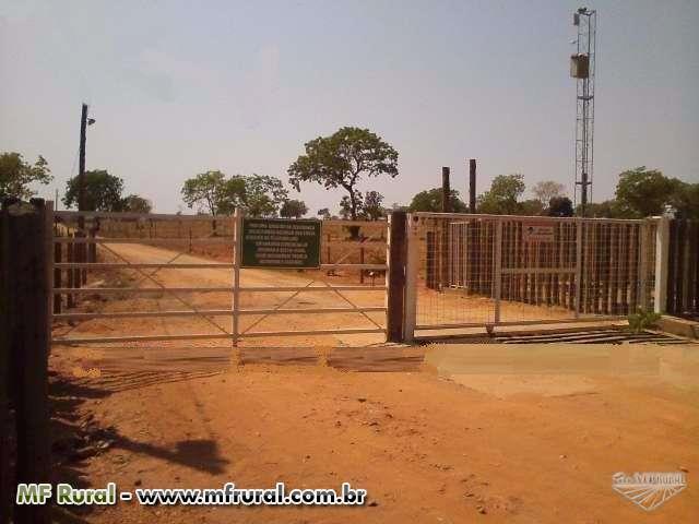 Porteira Eletronica em Pirapora MG à venda. Compre direto 247257