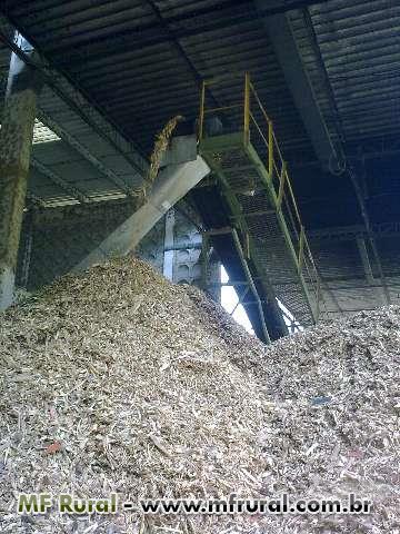 Cavaco Madeira | Preço Venda Compra - MF Rural