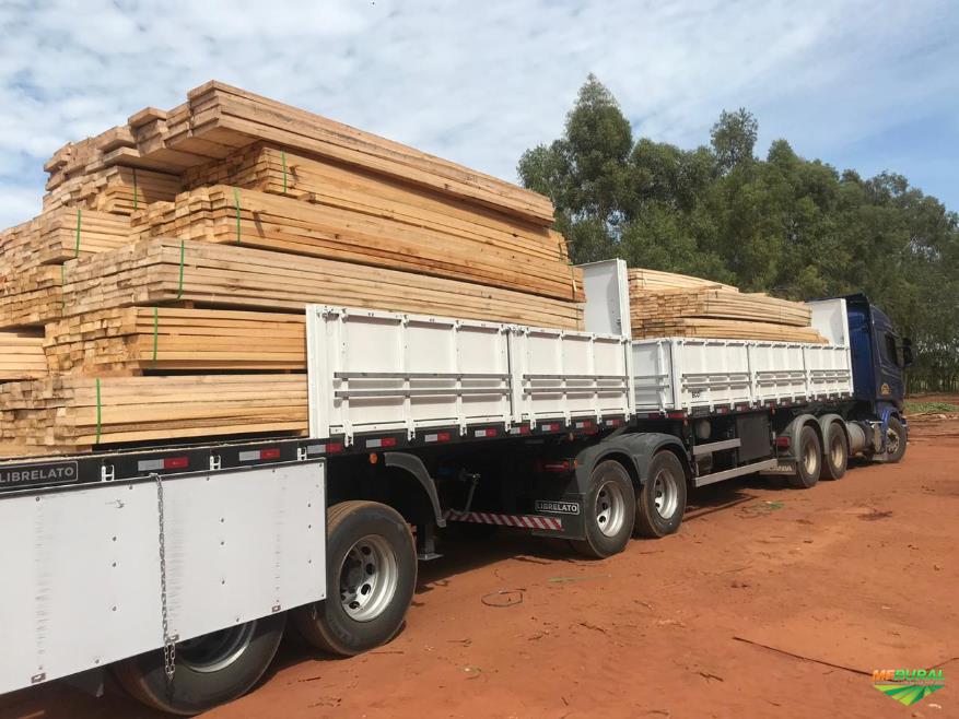 Vigamento de Eucalipto em Araçatuba SP à venda. Compre direto 363276