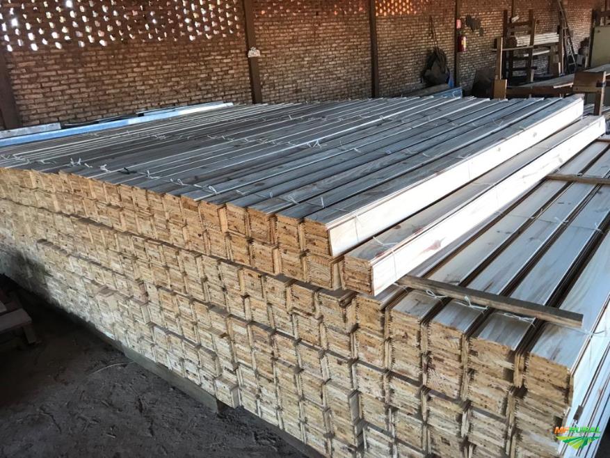 Forro Pinus em São Paulo | Preço Venda Compra - MF Rural