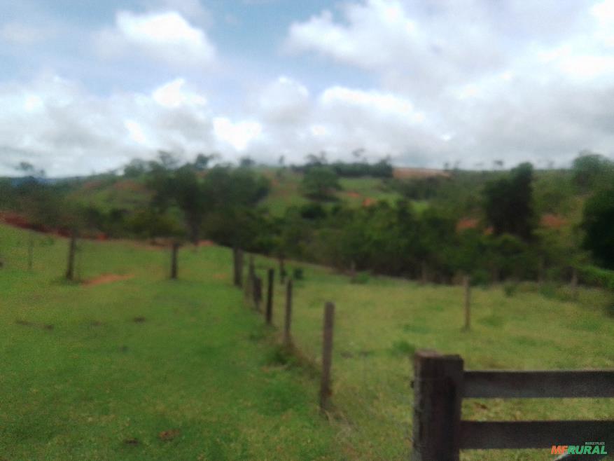 Fazenda no Goiás em Montividiu GO à venda. Compre direto 423498