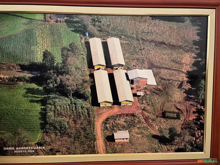 Composteira | Preço Venda Compra - MF Rural