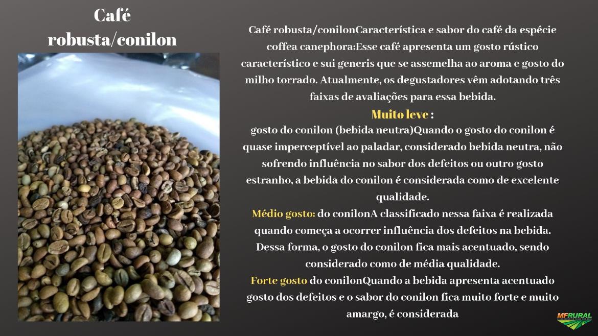 Conilon / Robusta em Vitória ES à venda. Compre direto 376316