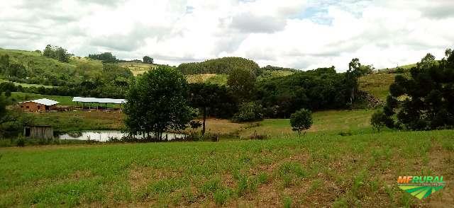 Hectares Gilbue - Fazendas / Imóveis Rurais | Preço Venda Compra