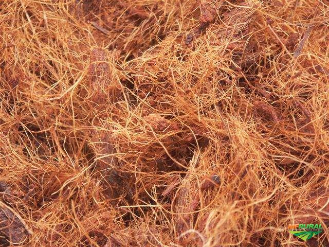 Manta Fibra Coco | Preço Venda Compra - MF Rural