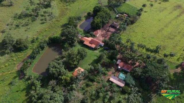 Chácara de 6,5 Alqueires A 115Km de Goiânia em Jandaia GO à 277406