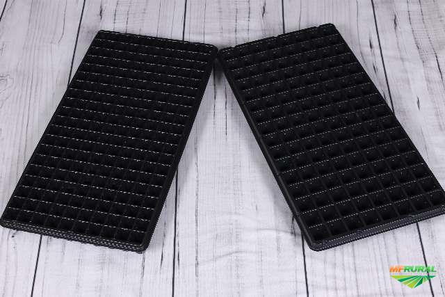 Mife 200 - Árvores Adultas / Mudas | Preço Venda Compra