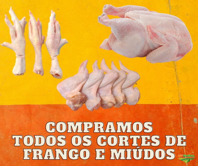 Frangos de Corte à venda com preço