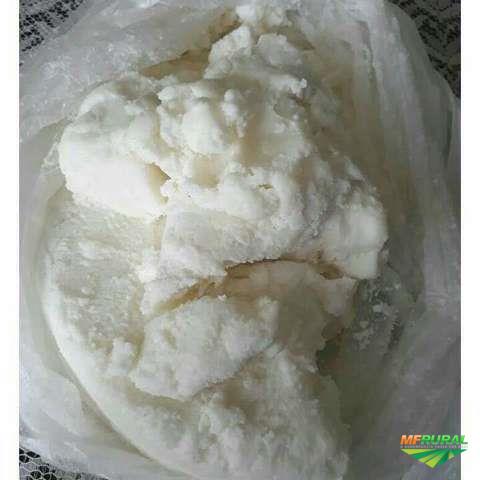 Sebo Bovino no Mato Grosso do Sul | Preço Venda Compra