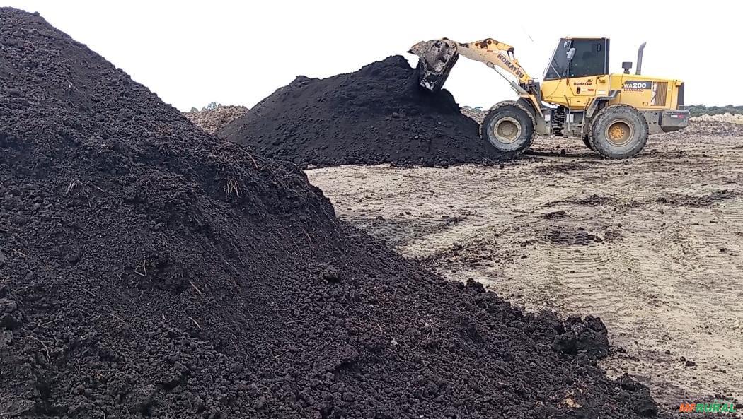 Turfa Especial em São José dos Pinhais PR à venda. Compre direto 783358