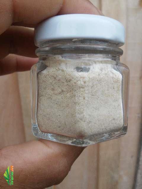 Apitoxina - Veneno de Abelha em Wenceslau Braz PR à venda. 287292