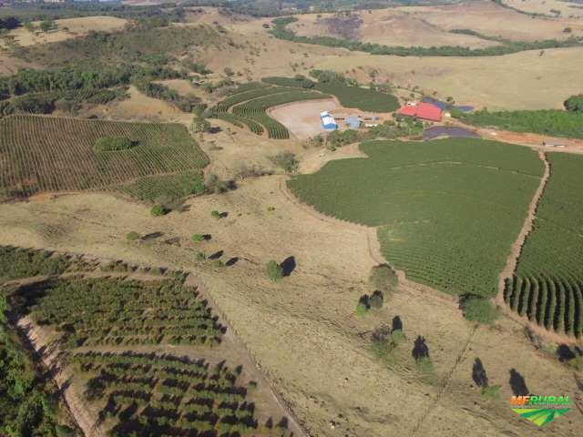 Tudo sobre o município de Ibiraci - Estado de Minas Gerais | Cidades do ...