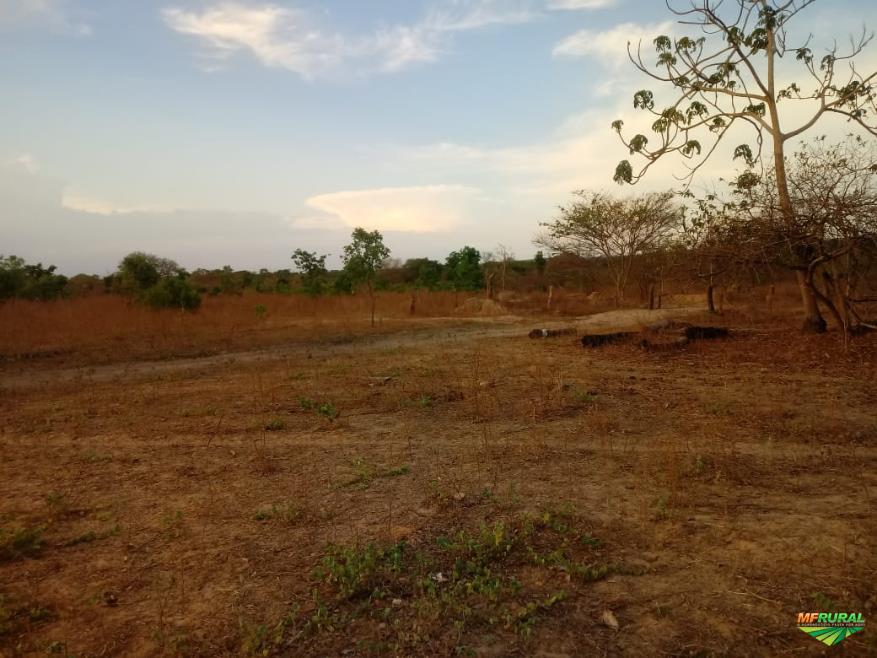 40 Hectares De Terra A 500 M Da Cidade De Urucuia Em Urucuia MG 293721