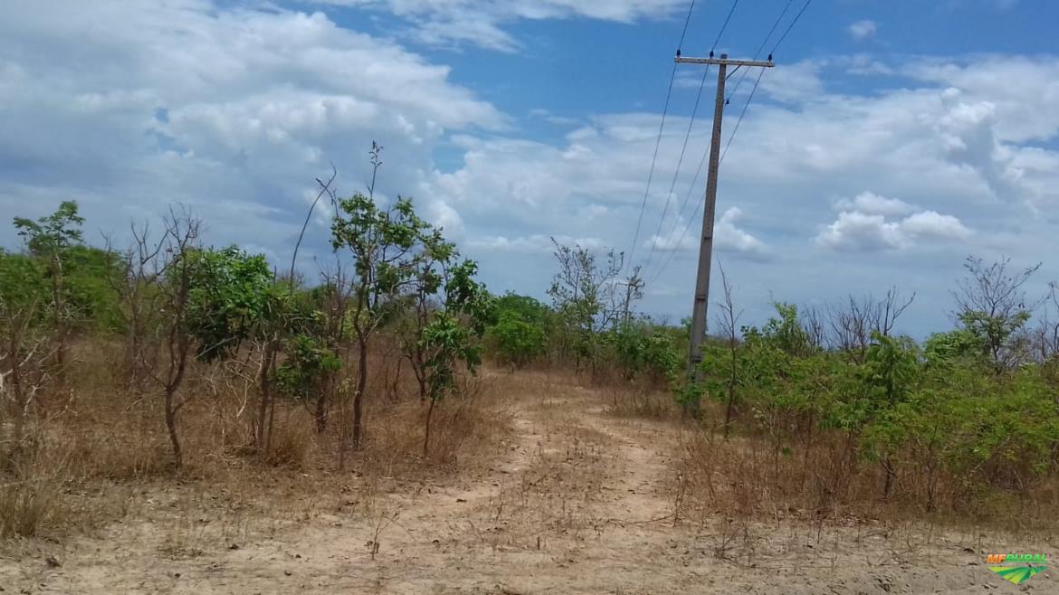 40 Hectares de Terra A 500 M da Cidade de Urucuia em Urucuia MG 293721