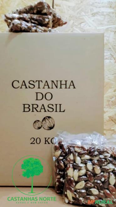 Castanha Casca no Paraná | Preço Venda Compra - MF Rural