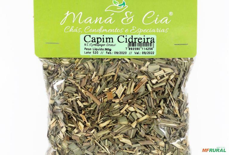 Capim Cidreira Kit Com 10 Unidades em Santa Cruz do Rio Pardo SP 842739