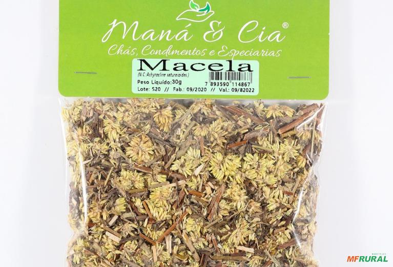 Macela Flor Kit Com 10 Unidades em Santa Cruz do Rio Pardo SP à 843434