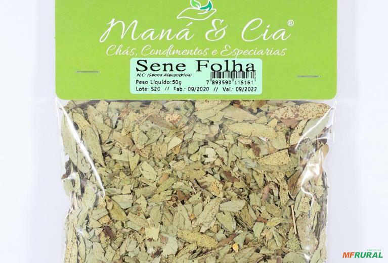 Sene Folha Kit Com 10 Unidades em Santa Cruz do Rio Pardo SP à 843437
