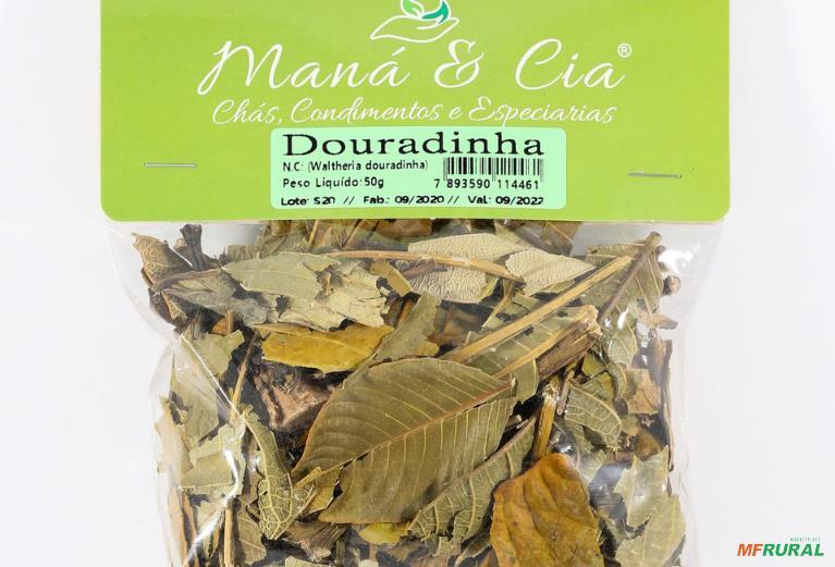 Douradinha Folha Kit Com 10 Unidades em Santa Cruz do Rio Pa 843623