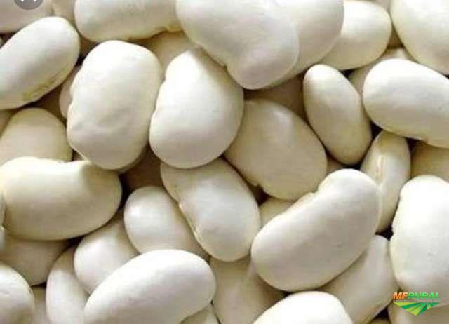Feijao Fava em Brasília de Minas MG à venda. Compre direto 302066