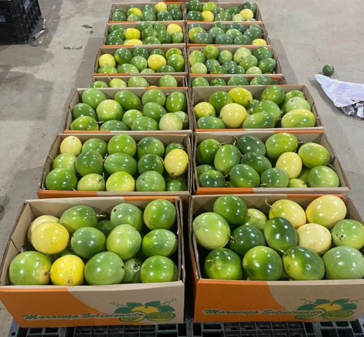 Maracuja Ceasa no Rio de Janeiro | Preço Venda Compra - MF Rural