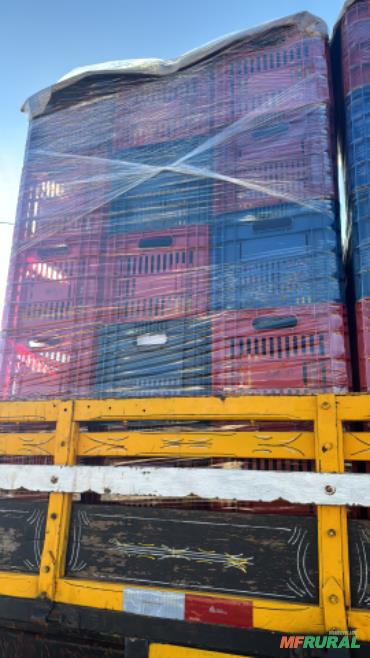 Lata Milho | Preço Venda Compra - MF Rural