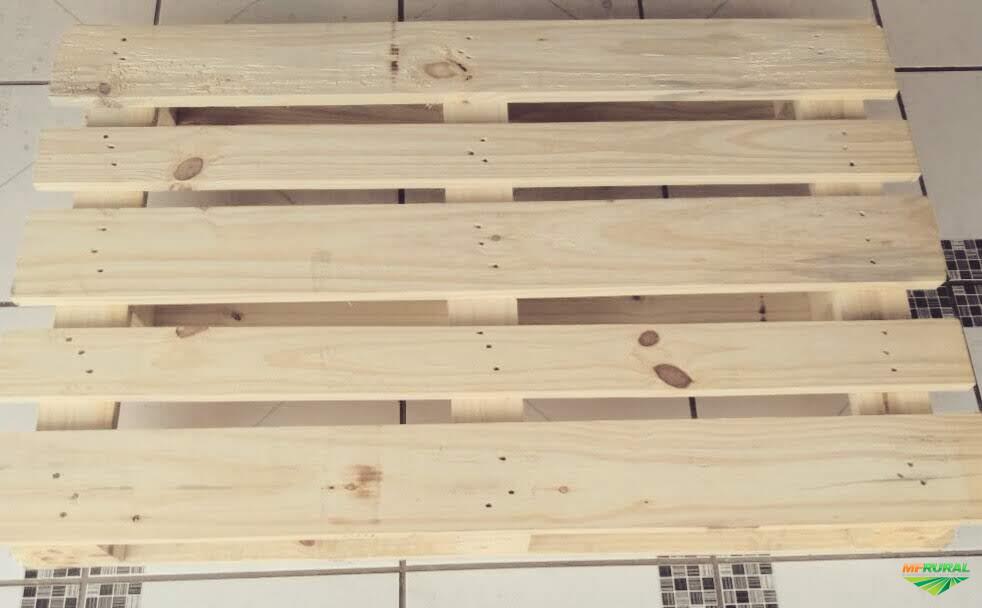 Palete/ Pallets de Madeira em Ribeirão Pires SP à venda. Compre 316869