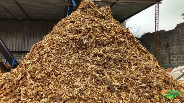 Cavaco de Madeira (EUCALIPTO) em Guarulhos SP Vender Comprar Cav