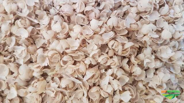 Soja Mistura no Rio Grande do Sul | Preço Venda Compra