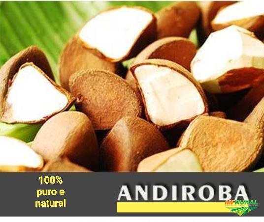 Andiroba | Preço Venda Compra - MF Rural